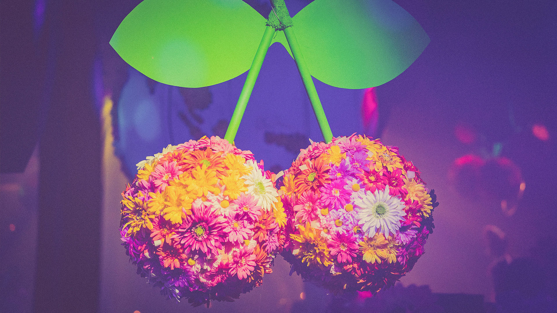 Gallery | Pacha NightClub